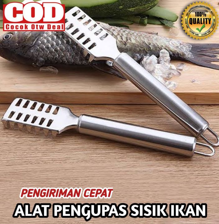 Premium Quality / Alat Pembersih Pengupas Sisik Ikan Stainless Steel ...