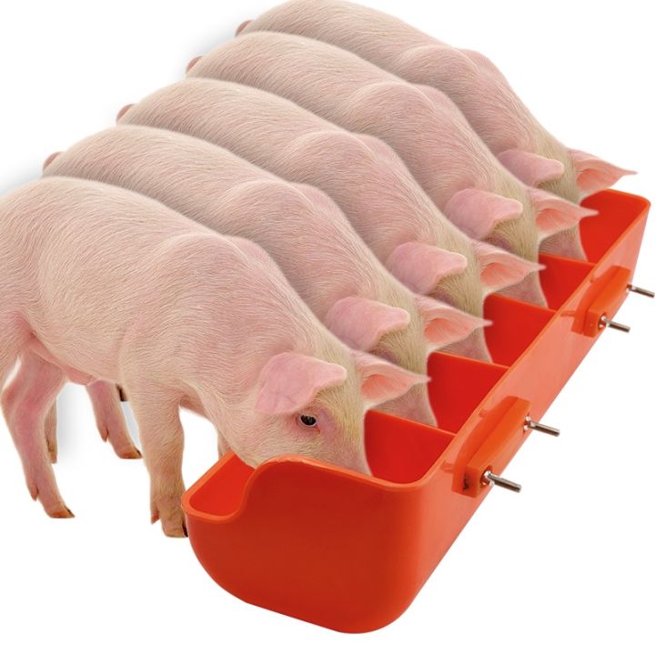 Orange Plastic Piglet Trough Automatic Feeding Five Grids Pig Sow ...