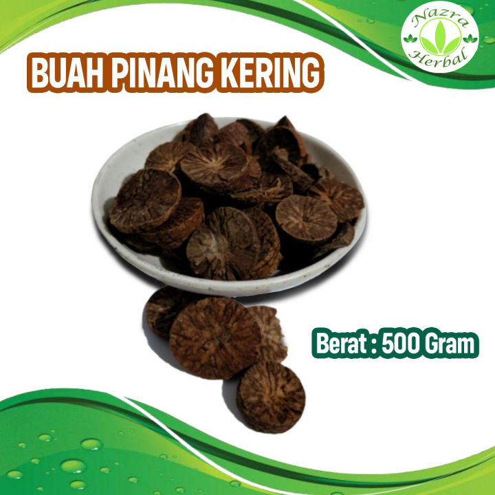 Buah Pinang Muda Kering Jambe 500 Gram Original | Lazada Indonesia