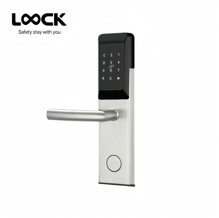 LOOCK S-01& S-02 Smart door lock | Lazada PH