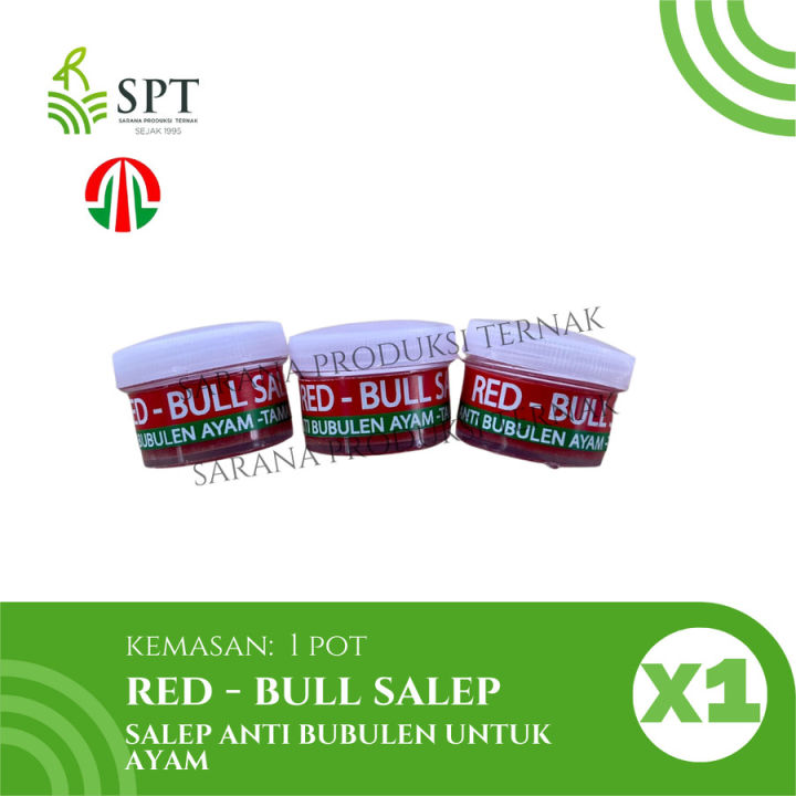 RED BULL SALEP ANTI BUBULEN AYAM TAMASINDO | Lazada Indonesia