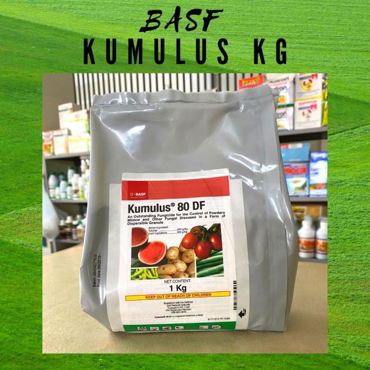 KUMULUS 80 DF Fungicide 1Kg | Lazada PH