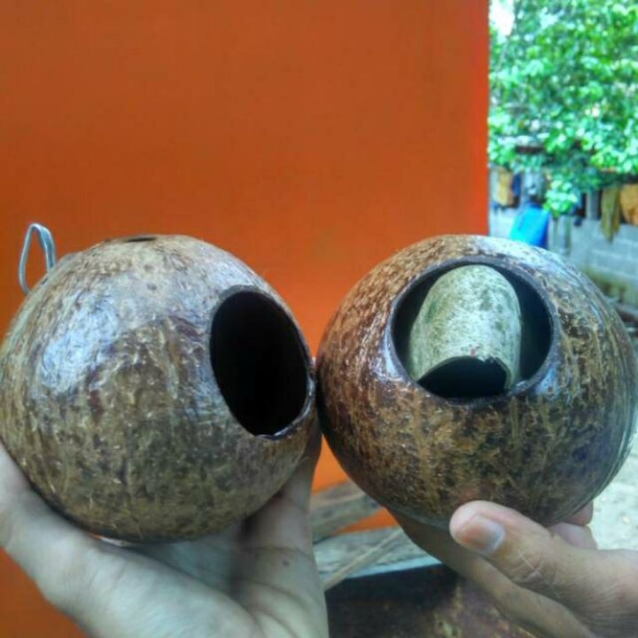 Kandang Burung love bird atau Sugar glider Batok kelapa | Lazada Indonesia