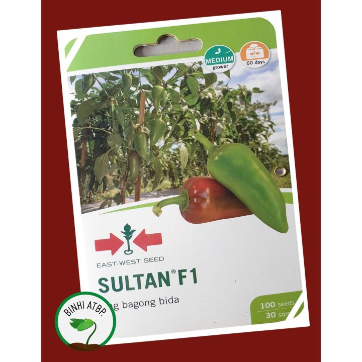 East-west Sultan F1 Hot Pepper Seeds (1 Pack - 100 seeds) + | Lazada PH