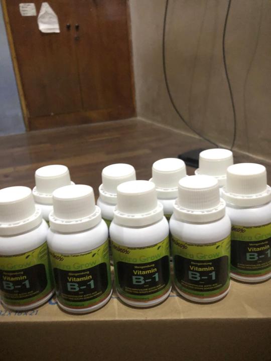 Pupuk Tanaman Vitamin B1 Beninox Ultra Grow 100 ml x 40 Botol | Lazada Indonesia