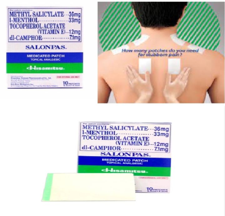 Hisamitsu Salonpas Medicated Patch (10 Patches) | Lazada PH