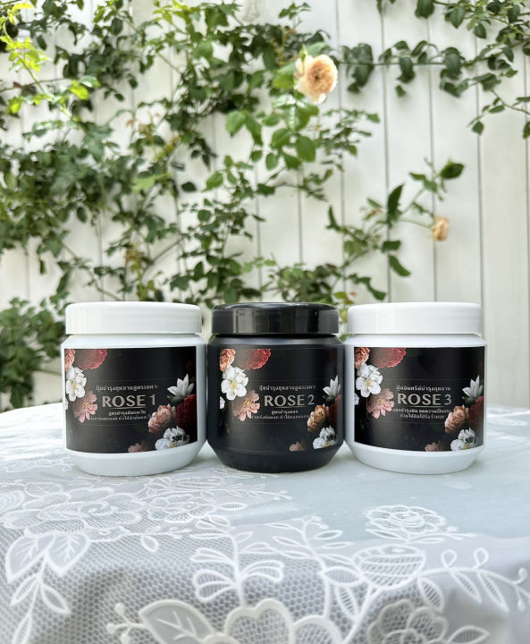 ปุ๋ยเซ็ทรวม Rose1+Rose2+Rose3 สุดคุ้ม | Lazada.co.th