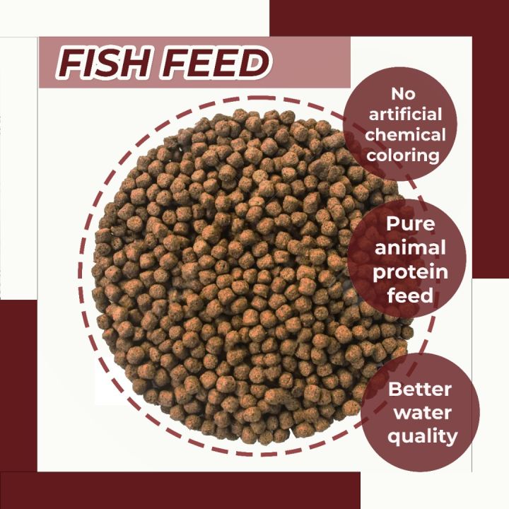 Makanan ikan 1kg saiz 1mm-2mm/4mm-5mm air tawar , aquarium fish food ...