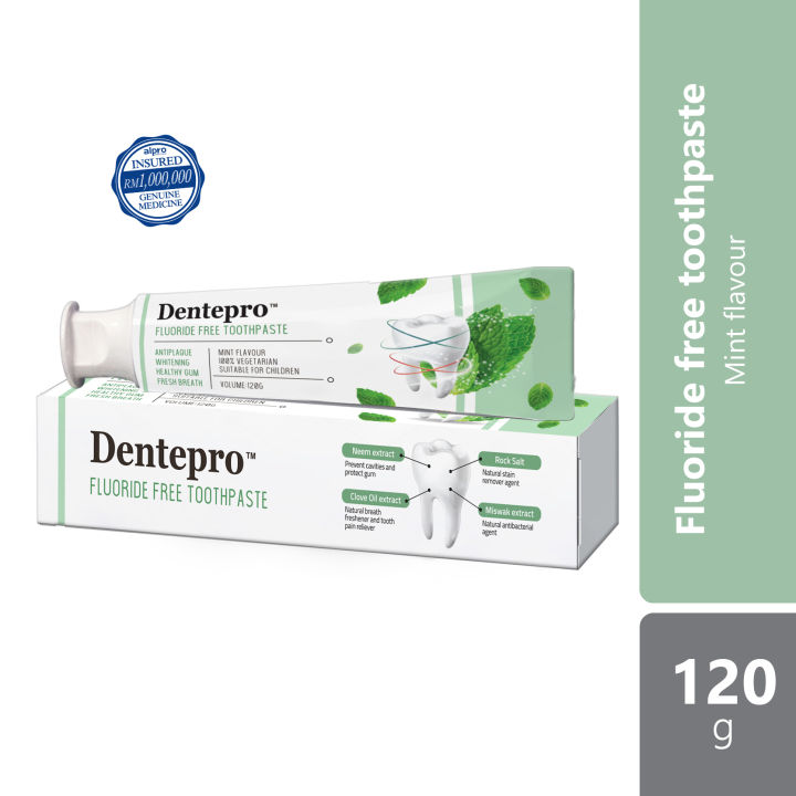Dentepro Fluoride Free Toothpaste (120g) | Care of oral hygiene, mild ...