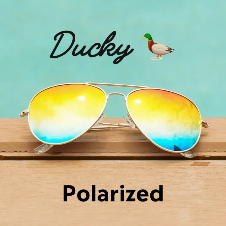 Ducky™ Polarized Aviator Sunglasses | Lazada PH