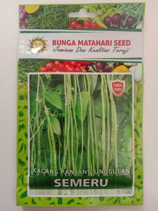 Benih kacang panjang unggulan SEMERU isi 150 butir-cap BUNGA MATAHARI ...