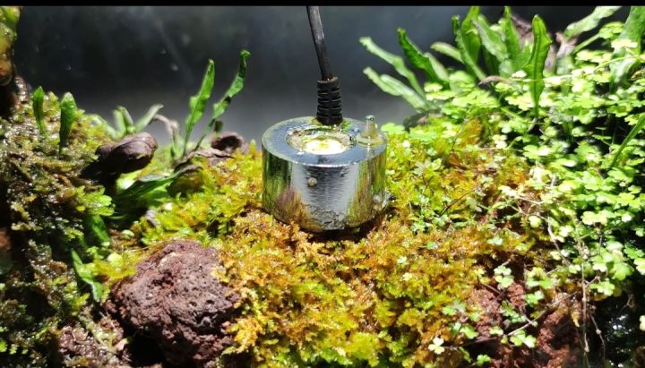 Aquarium Aquascape or Paludarium Mist Maker | Lazada PH
