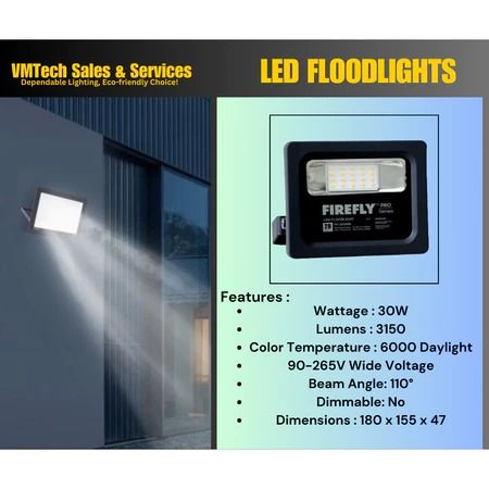 FIREFLY LED FLOODLIGHT GEN 2 DAYLIGHT (FFL2030DL) | Lazada PH