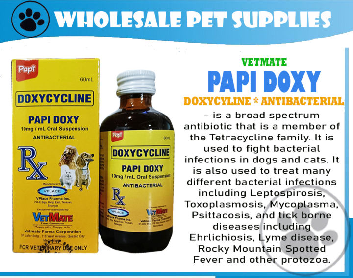 PAPI Doxy Antibacterial 60mL (Oral Suspension) | Lazada PH