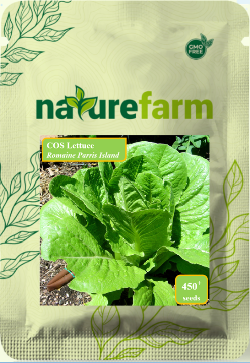 Naturefarm - Benih Selada - Cos / Romaine Lettuce - Parris Island - 450 ...