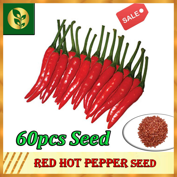 Red Hot Pepper Seeds | Chili Seeds | Sili Seeds | Siling Pula | Siling ...