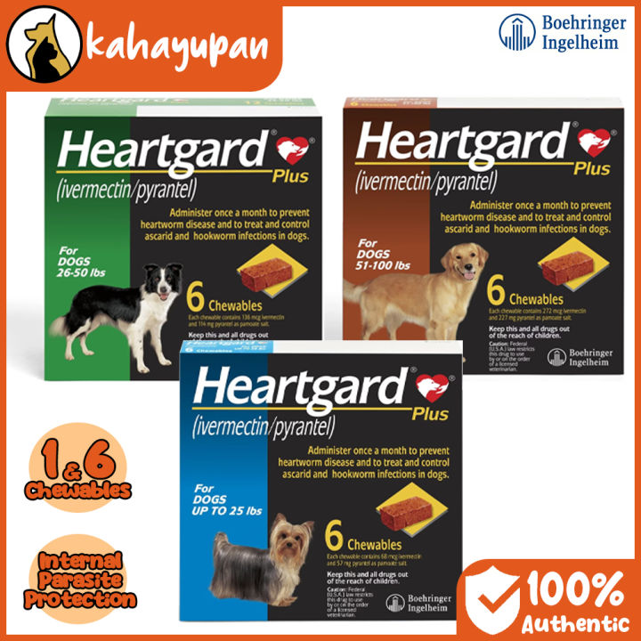 Heartgard Plus Internal Parasite Protection Chewable for Dogs | Lazada PH