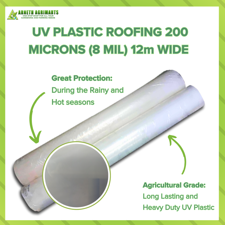 UV PLASTIC ROOFING 200 MICRONS (8 MIL) 12m WIDE Garden Rain Protection ...