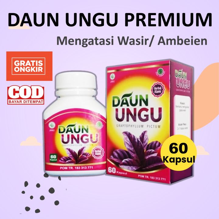 Daun Ungu Premium Obat Wasir dan Ambeyen | Lazada Indonesia