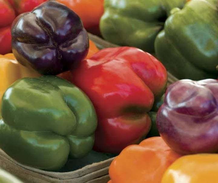 Sweet Pepper Rainbow Mix Seeds for Planting (5 seeds) | Lazada PH