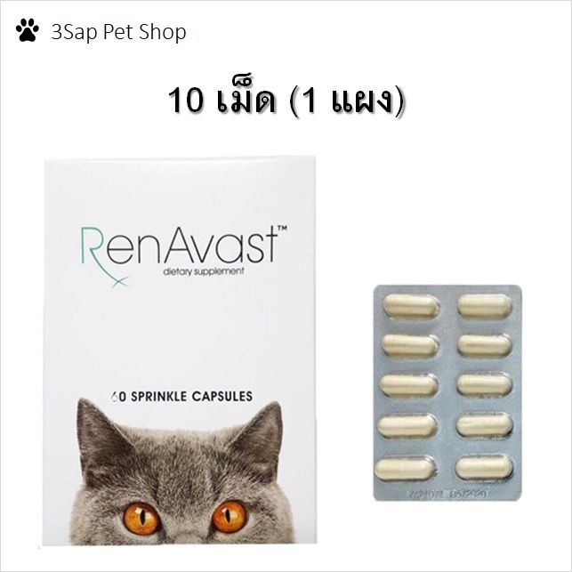 Renavast แมว Cat 10 Capsules อาหารเสริมแมวโรคไต อาหารเสริมโปรตีน แมว 10 ...