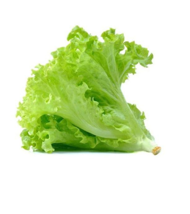 Benih Daun Salad 30pcs Four Season Lettuce Lazada