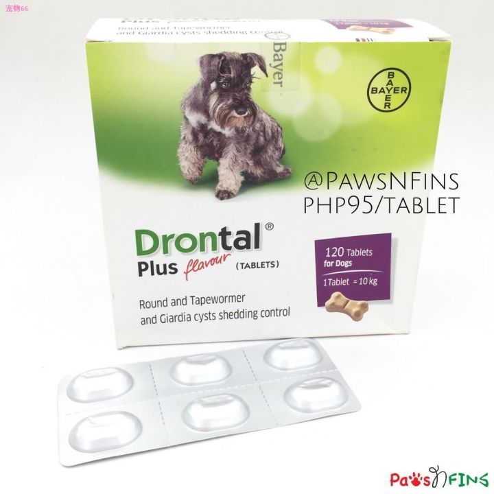 DRONTAL PLUS FLAVOUR TABLET 1 TABLET | Lazada PH