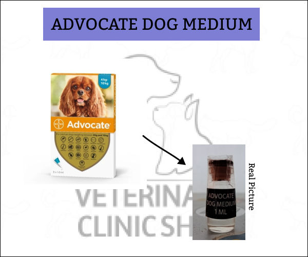 Advocate Dog Medium 4-10 Kg Tetes Tenguk Untuk Anjing 1ml (1 botol ...