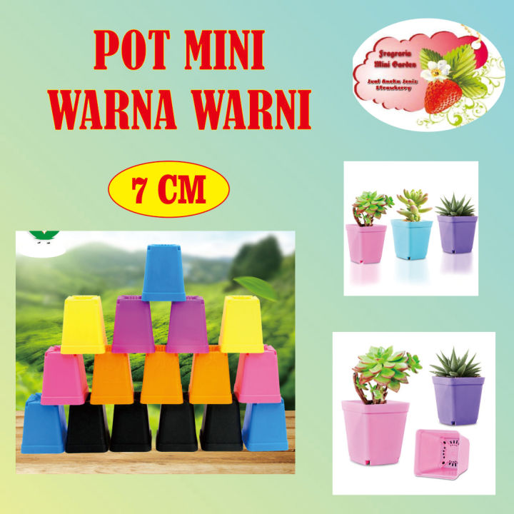 POT MINI WARNA WARNI UKURAN 7 CM | Lazada Indonesia