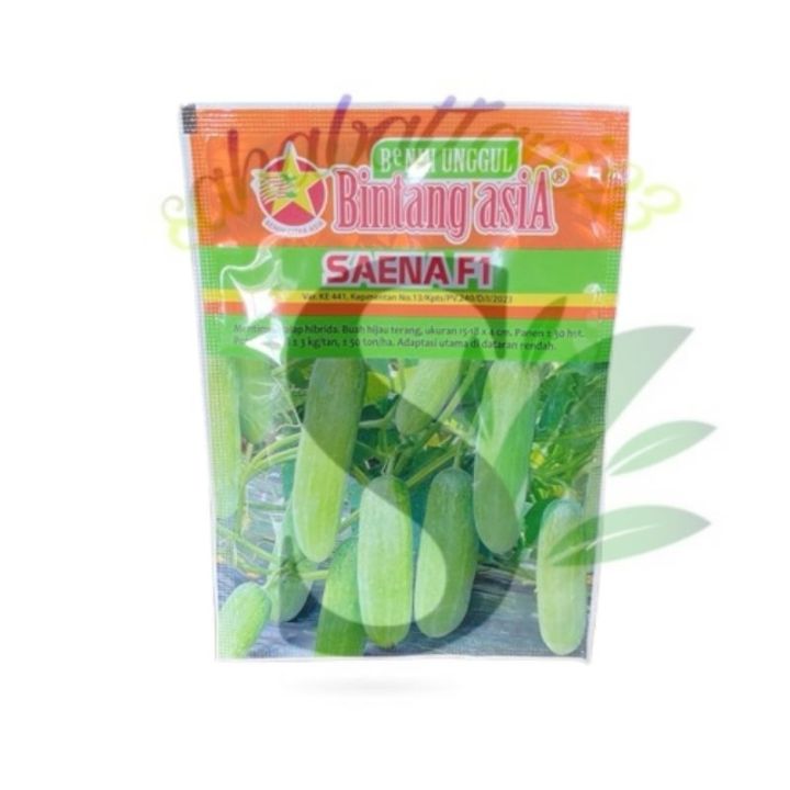 Benih Timun SAENA F1 berat 20 gram (Bintang Asia) | Lazada Indonesia