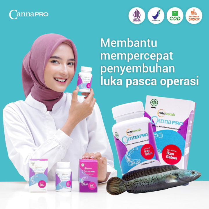 Nutrisentials CannaPro isi 30 kapsul | Kapsul Kutuk Ekstrak Ikan Gabus - Luka Pasca Operasi ...