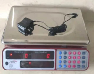General Master Digital Weighing Scale 30kg Capacity (kilohan) | Lazada PH