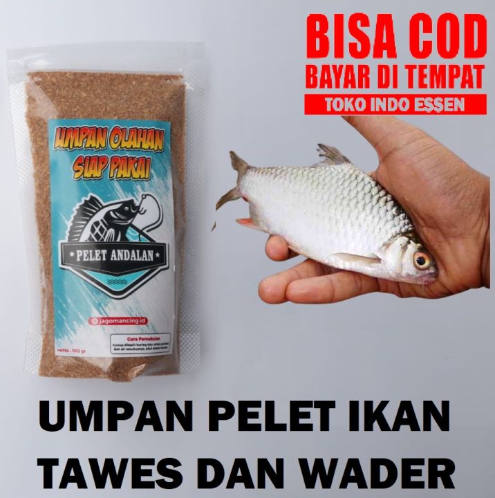 Umpan Pelet Ikan Tawes Dan Wader Siap Pakai | Lazada Indonesia Umpan Pelet Ikan Tawes Dan Wader Siap Pakai | Lazada Indonesia