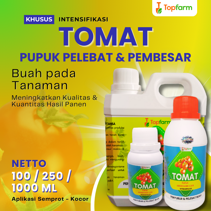 Pupuk Pelebat Buah Tomat / Pupuk Buah Super Lebat Tomat / Pupuk Tomat Agar Berbuah Lebat / Pupuk ...