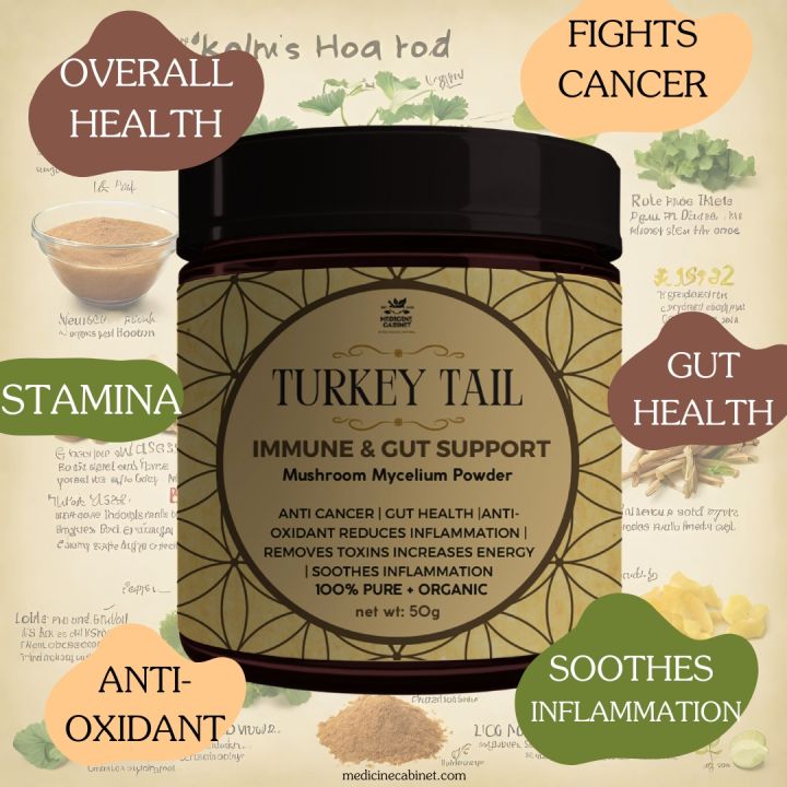 TURKEY TAIL | IMMUNE & GUT SUPPORT | GUT HEALTH ANTIOXIDANT ...