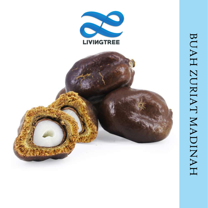 Buah Zuriat asli Madinah / Doum Asli program hamil 1 KG | Lazada Indonesia