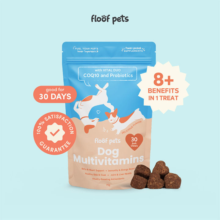 COD Floof Pets 8 in 1 Dog Multivitamin Treat 75g with Probiotics ...