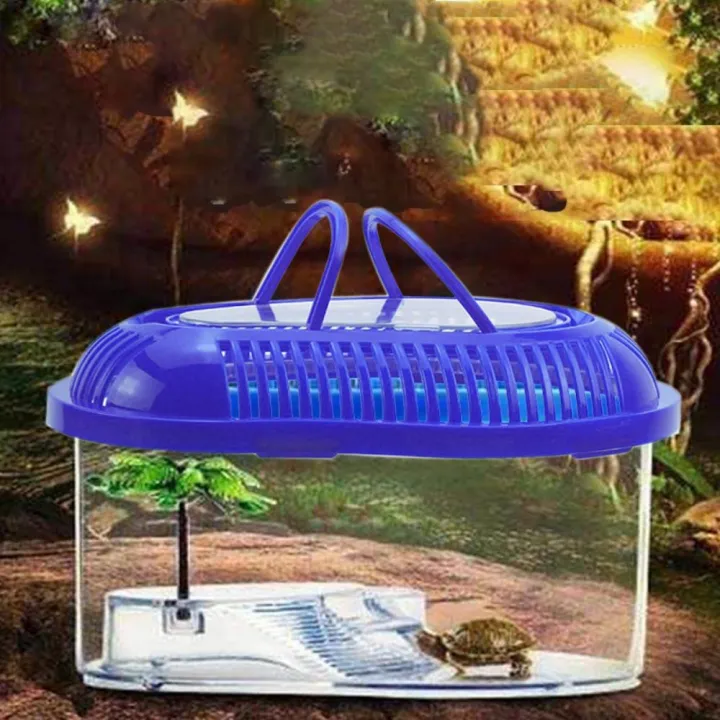 OUTOPEN Portable 1PC with Handle Goldfish Feeding Box Plastic Turtle Habitat Turtle Tank Reptile ...