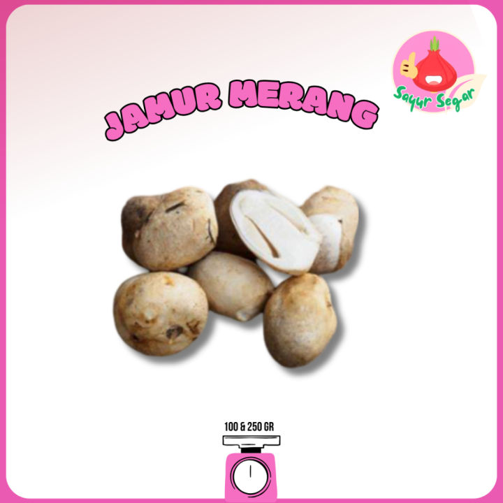 Sayur Segar - Jamur Merang Segar / Merang Mushroom | Lazada Indonesia