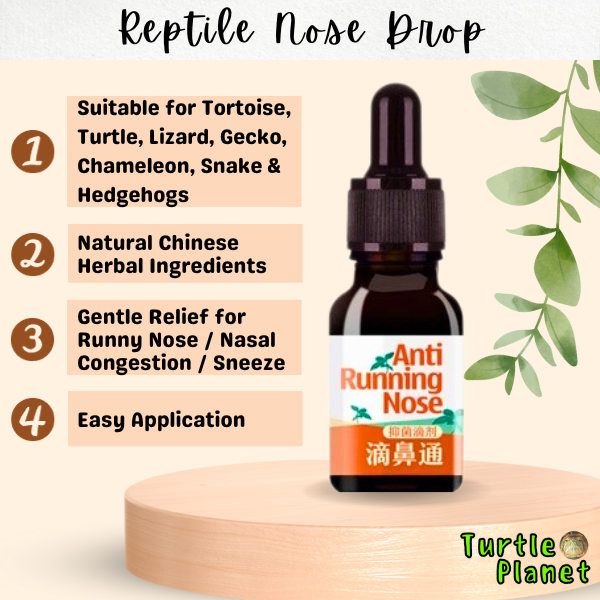 Reptile Nasal Drop Nose Drop Running Nose Treatment Herbal Remedies ...