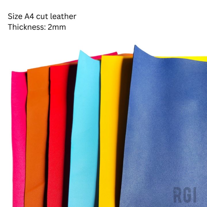 RGI Thick Faux Leather (A4 paper size) | Lazada PH