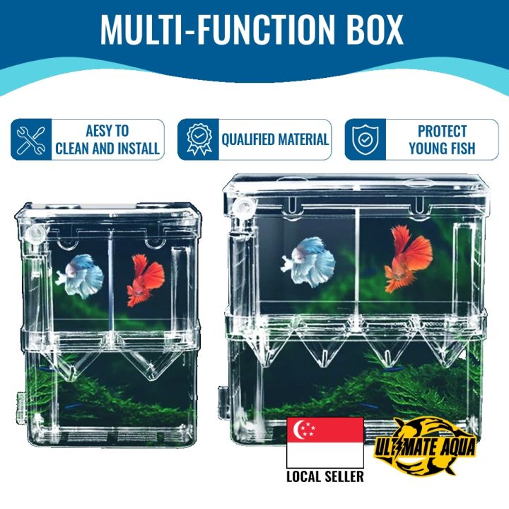 YEE Guppy Breeding Box, Aquarium Acrylic Multifunctional Incubator ...
