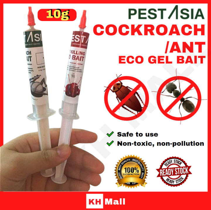 PEST ASIA Ant Eco Gel Bait, 10g [Ant Killer] PEST ASIA Cockroach Eco ...