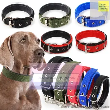 Shop Collar Belt For Dogs online Sep 2024 Lazada .my