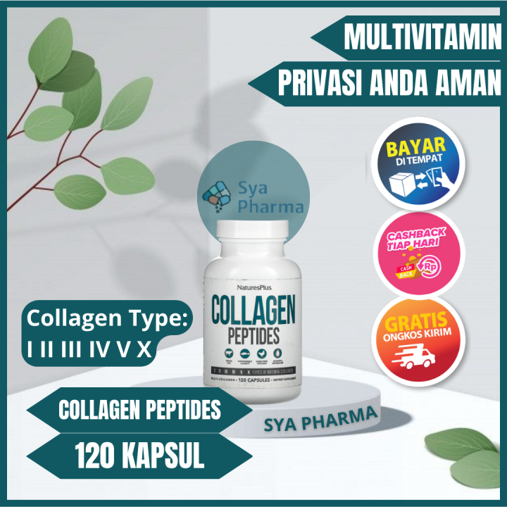 R1 NaturesPlus Collagen Peptides 120 Kapsul - Collagen Type I II III IV ...