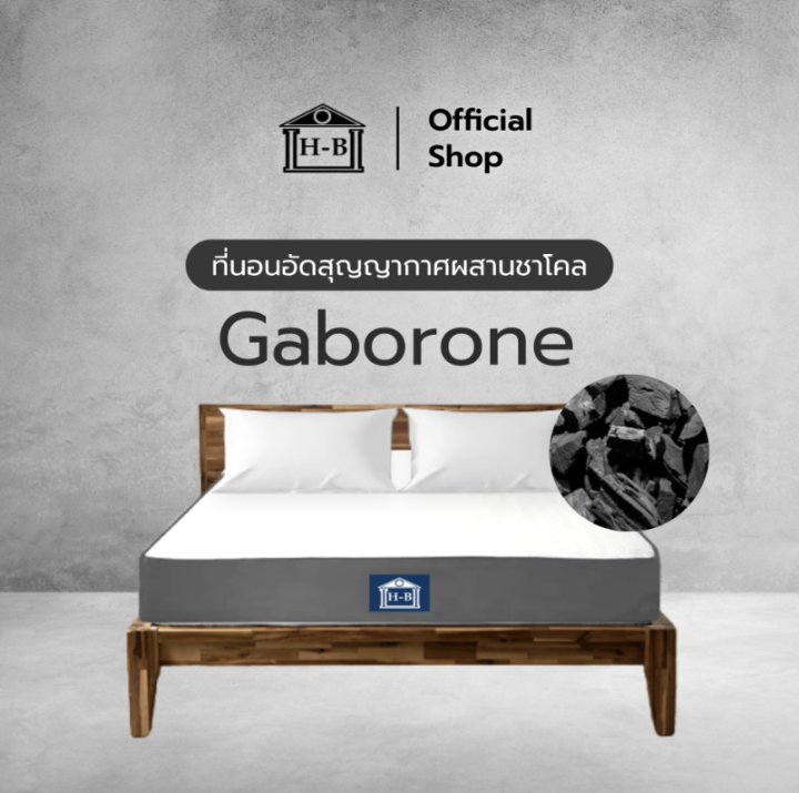 Home Best รุ่น Gabrone หนา 4 นิ้ว ที่นอน Charcoal นอนสบายไร้กลิ่นอับ ...