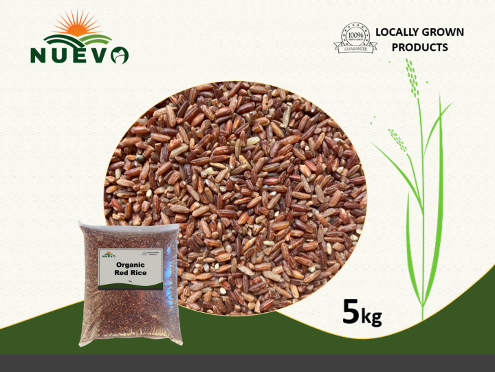 Organic Red Rice 5 Kg | Lazada PH