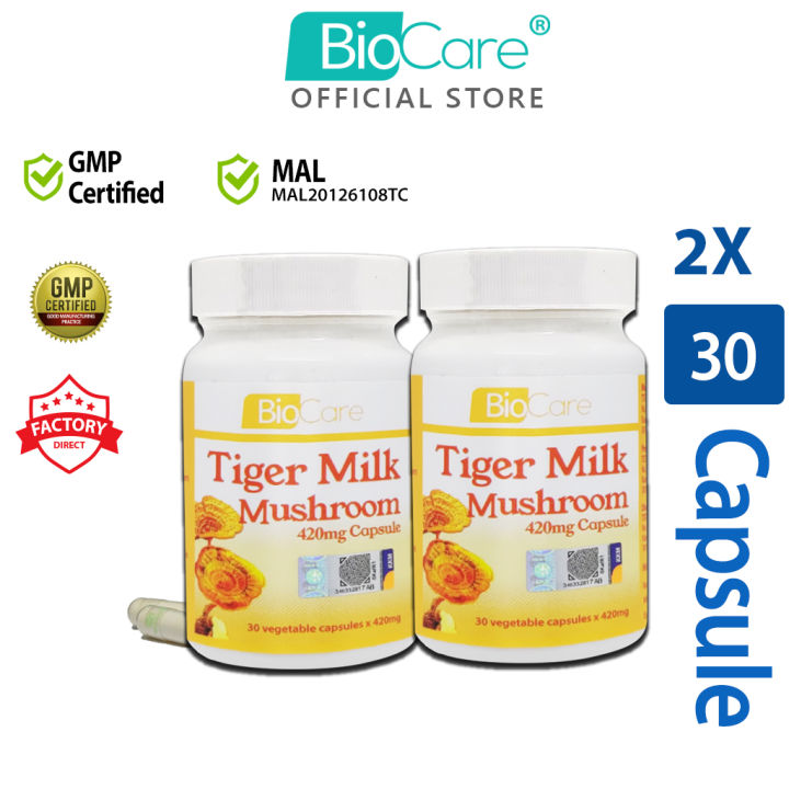 (KKM Approved) Biocare Tiger Milk Mushroom capsule 420mg ( 2x 30's ...