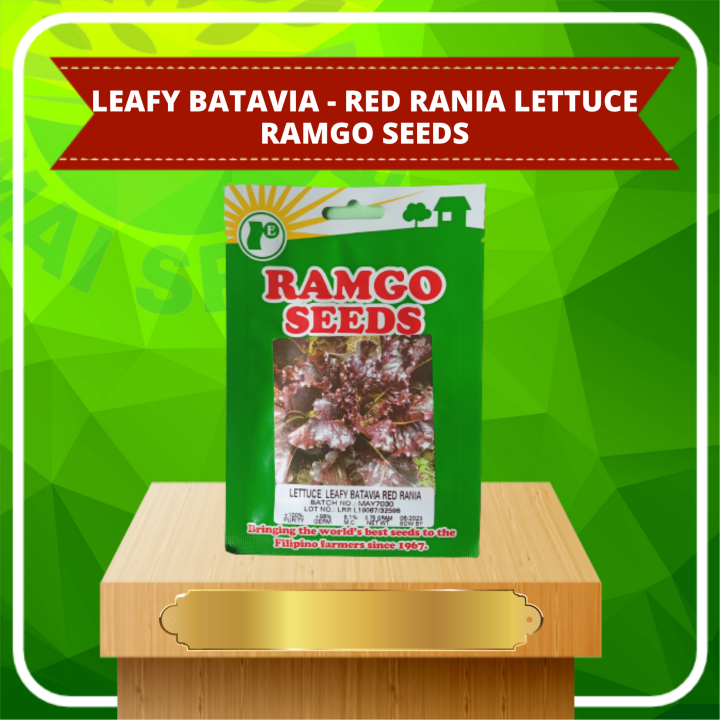 LEAFY BATAVIA RED RANIA LETTUCE (RAMGO SEEDS) - 1 PACK | Lazada PH