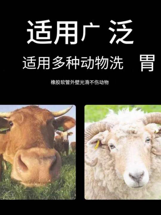 Veterinary Ruer Intubation Catheter White Tube Pig Cow Sheep tric ...